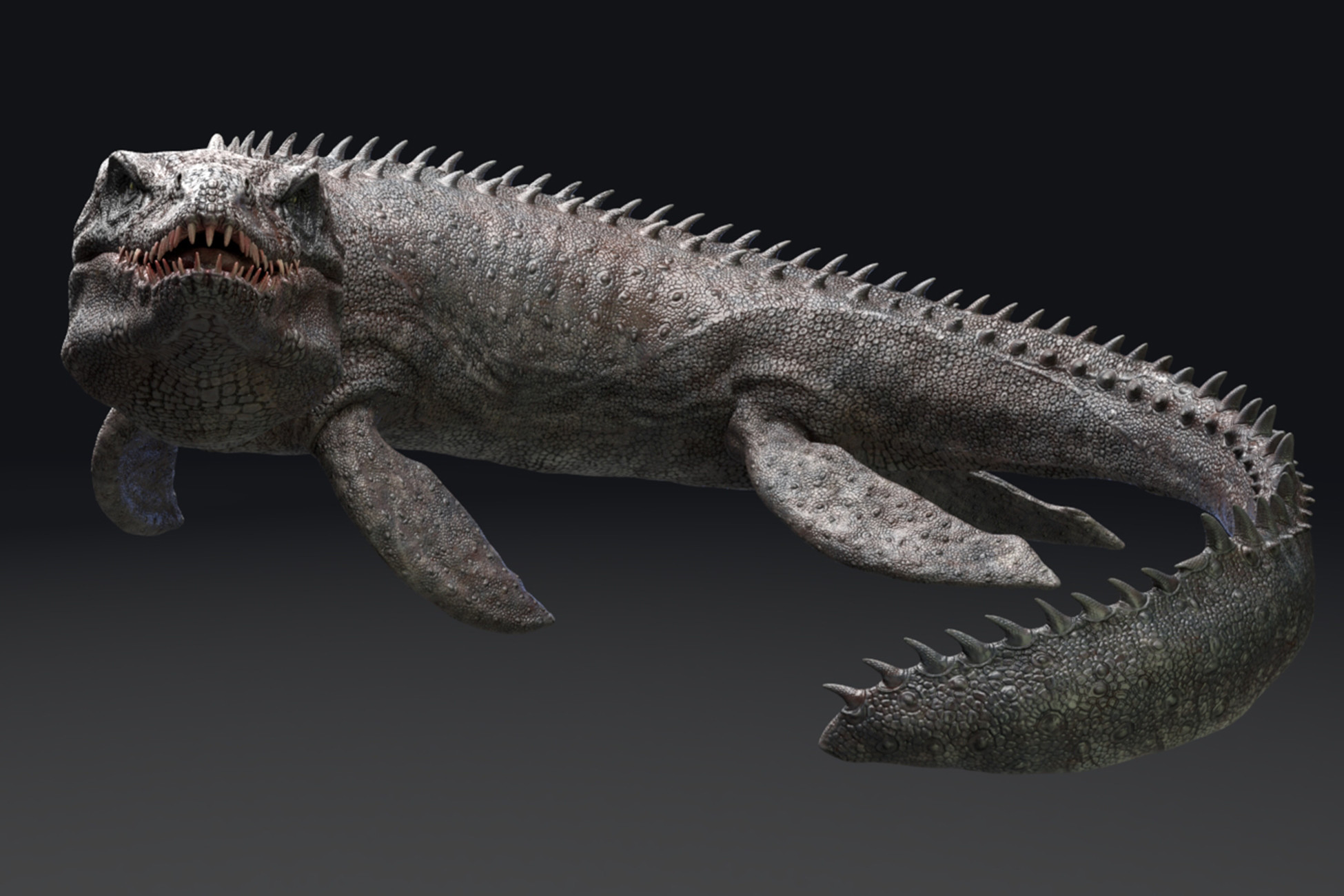 Mosasaurus - Sea Monster Series 4 , 49 Animations | 3D 생물 | Unity Asset ...