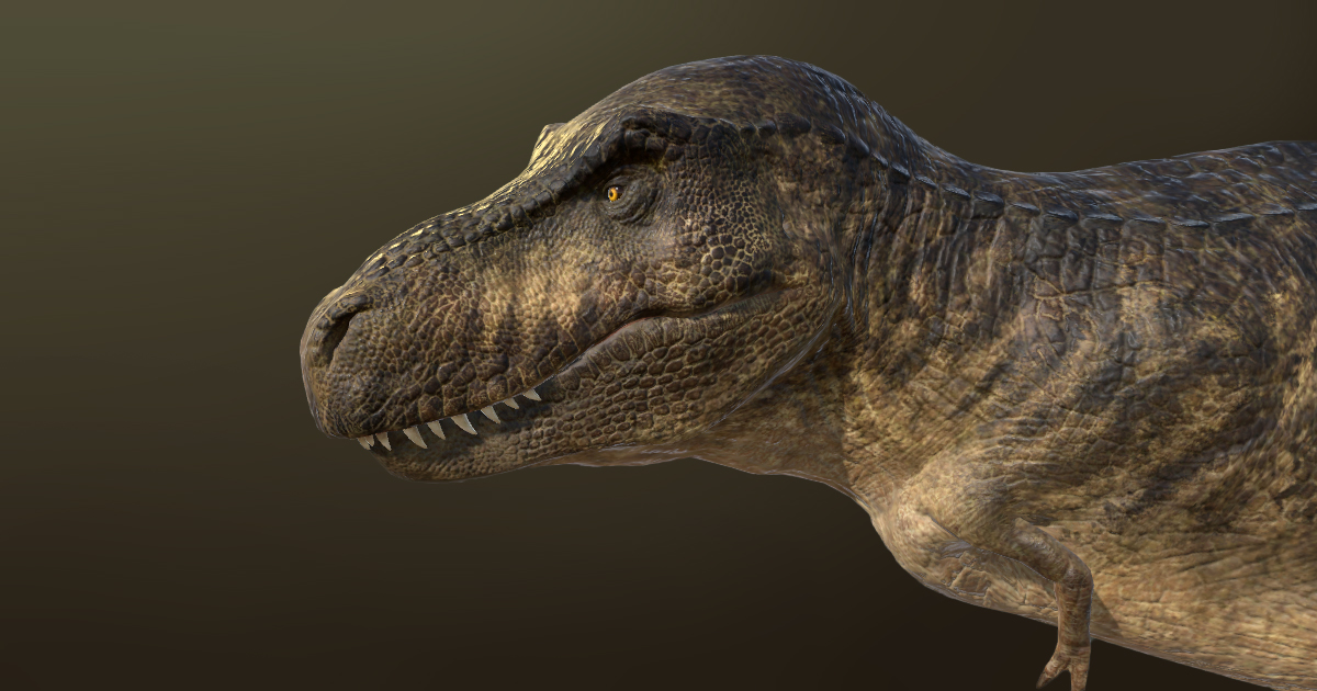 Dinosaur T-Rex | Characters | Unity Asset Store