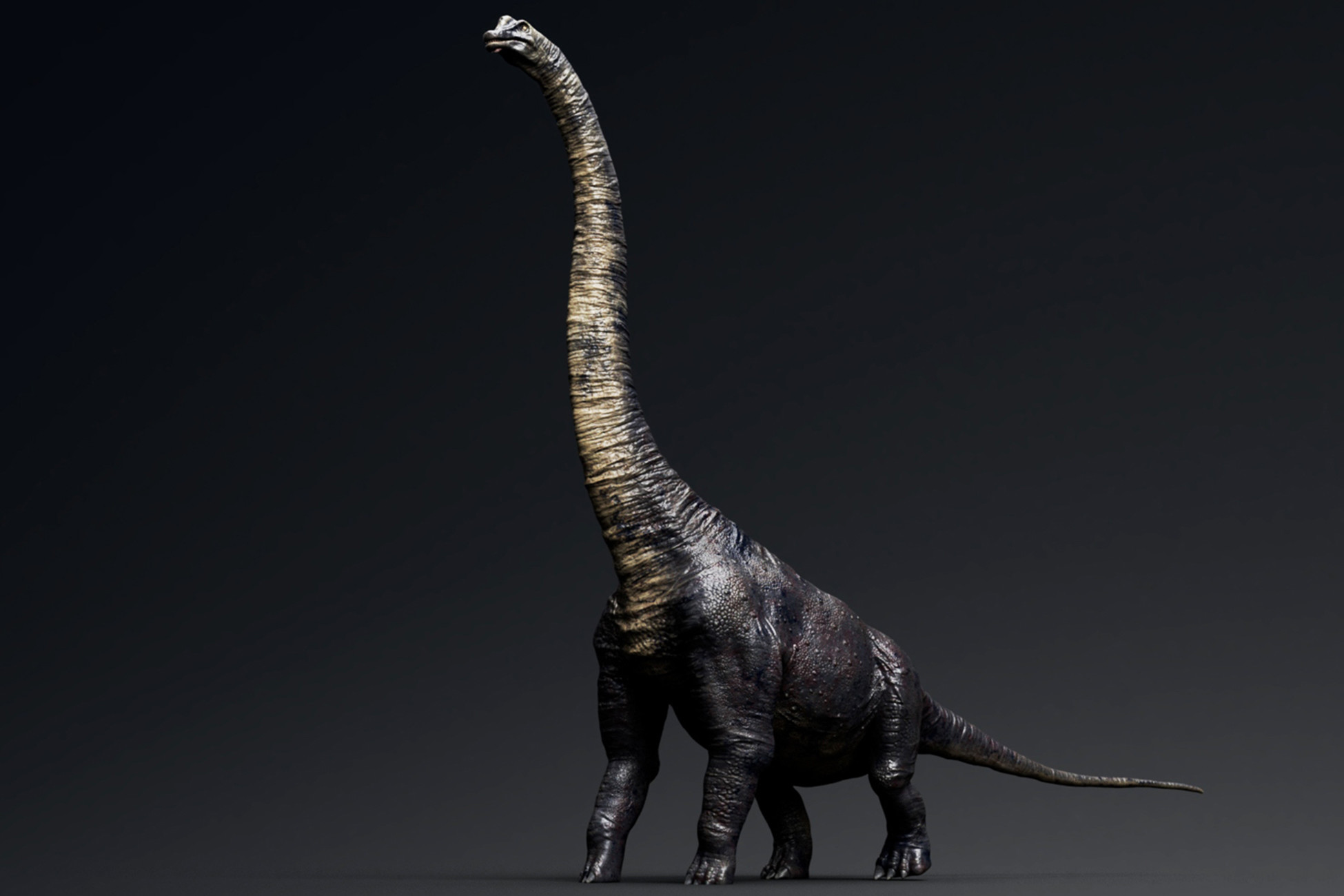 Brachiosaurus Sauropod | 3D Creatures | Unity Asset Store