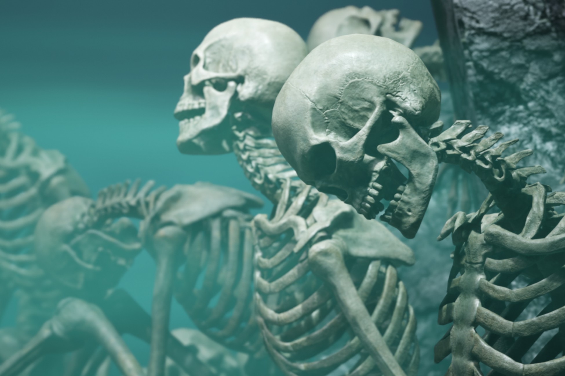 Skeleton Ultimate Pack | 3D Creatures | Unity Asset Store