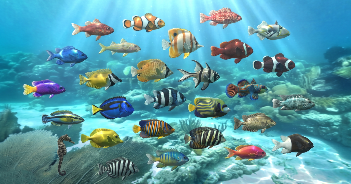 Reef fish - large pack | Characters | Unity Asset Store