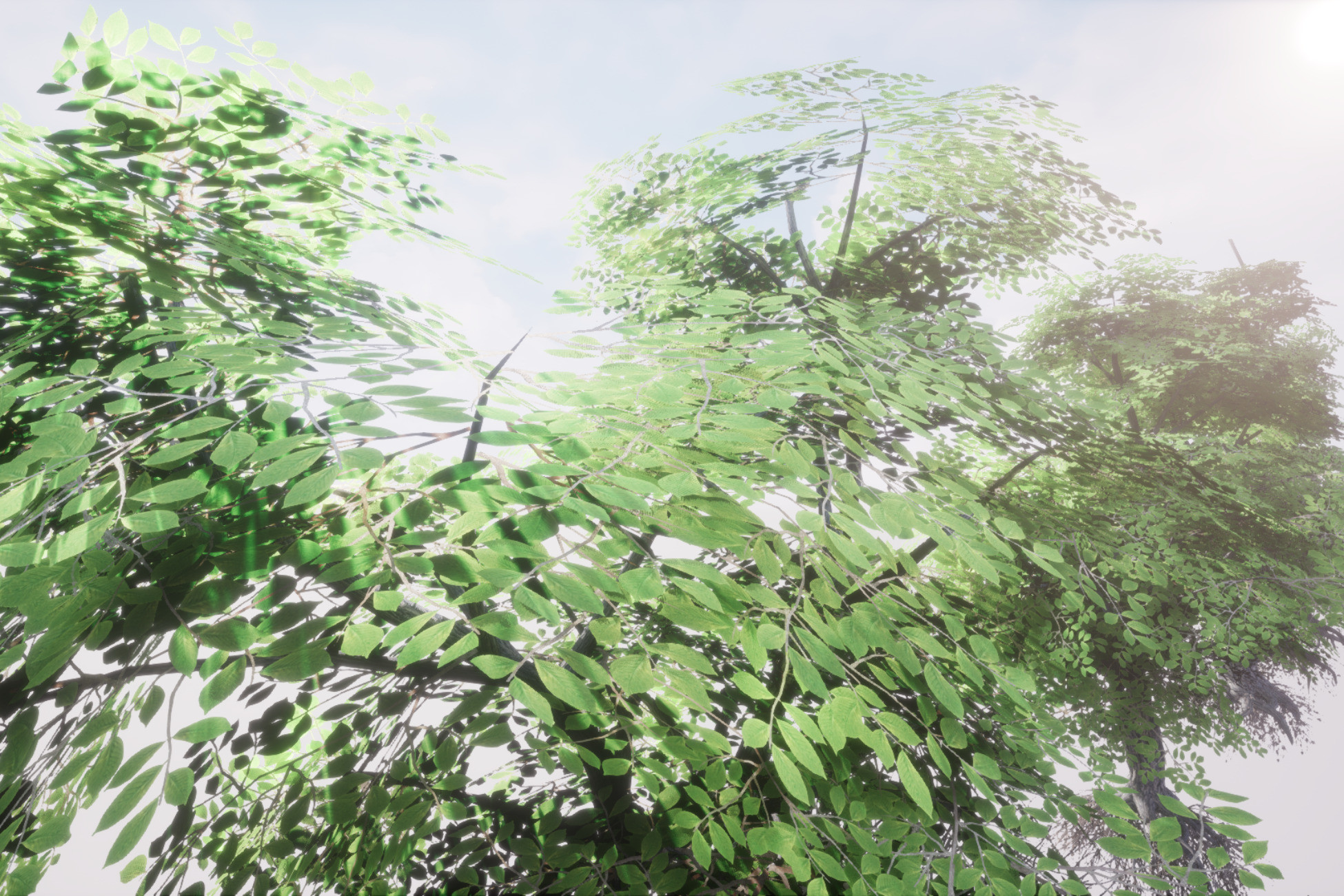 Mobile Realistic Tree 3 | 3D 나무 | Unity Asset Store