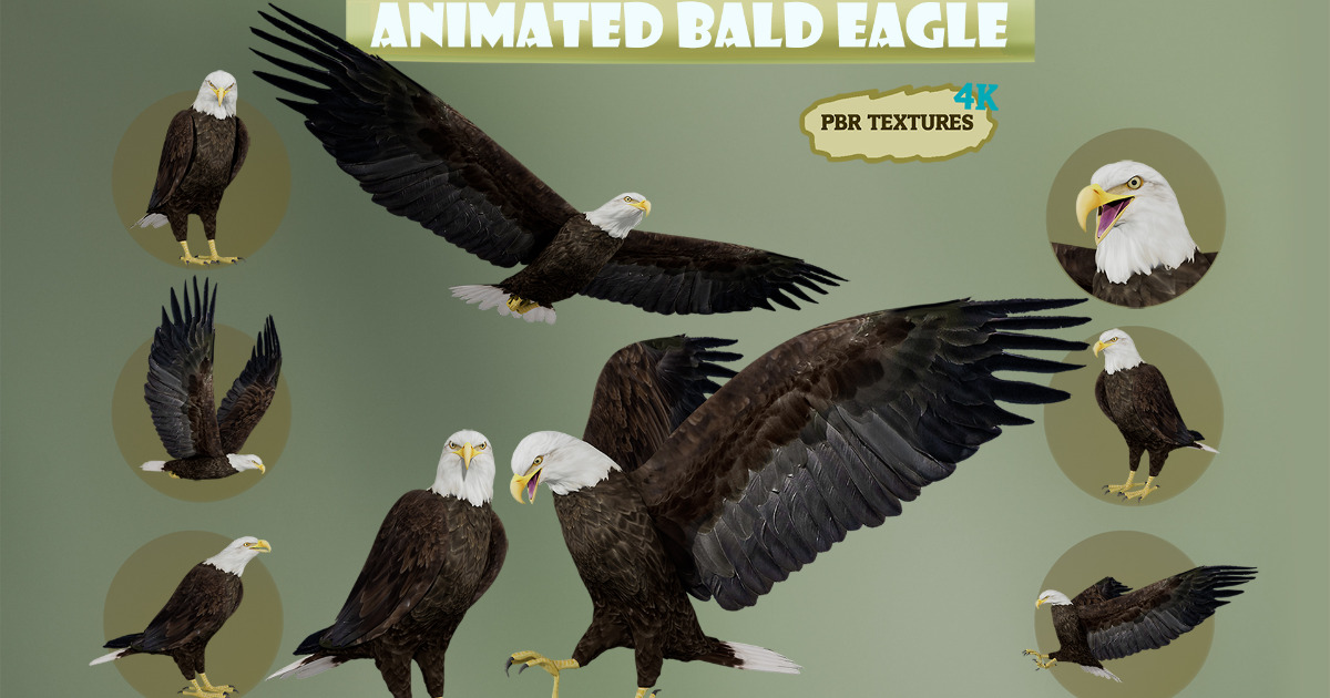 Realistic Animated Bald Eagle | Characters | Unity Asset Store