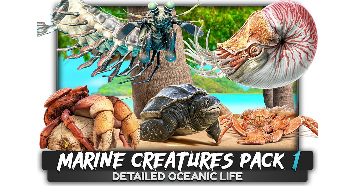 Crab - Coconut Crab - Mantis Shrimp - Sea Turtle - Nautilus - #70 ...
