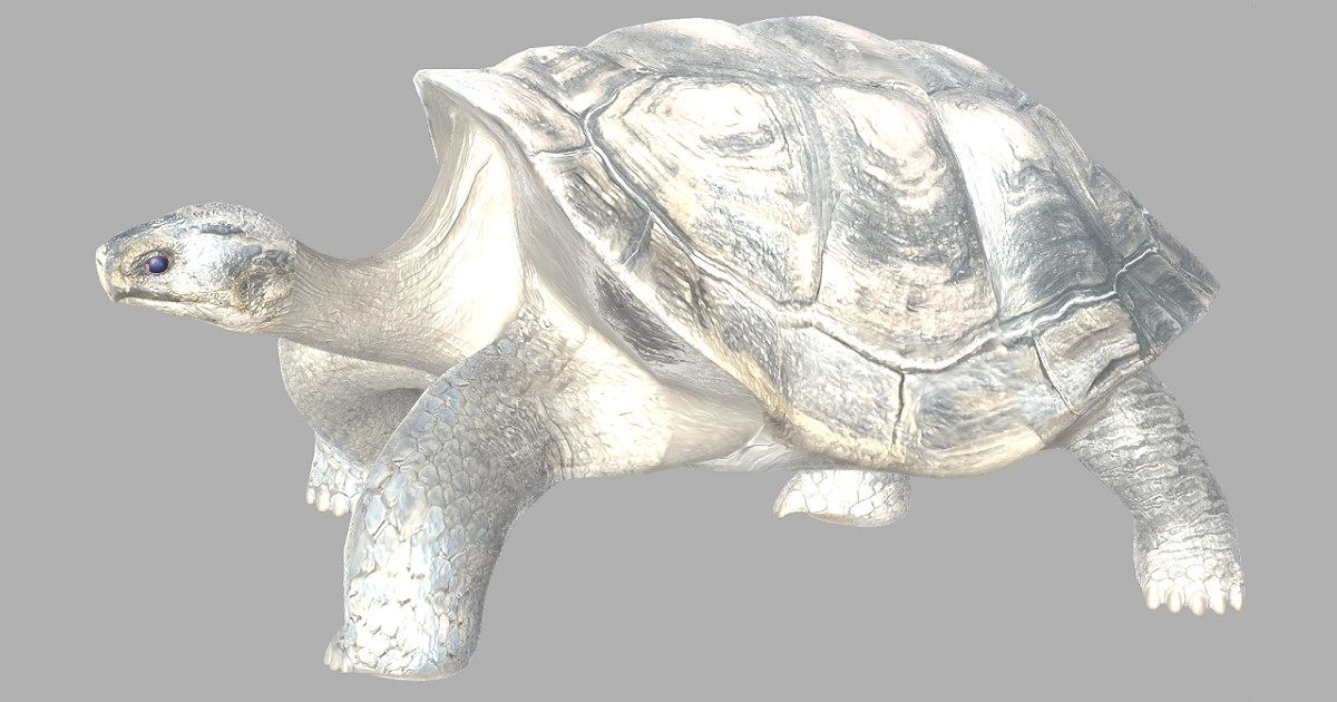 Giant Tortoises | Characters | Unity Asset Store