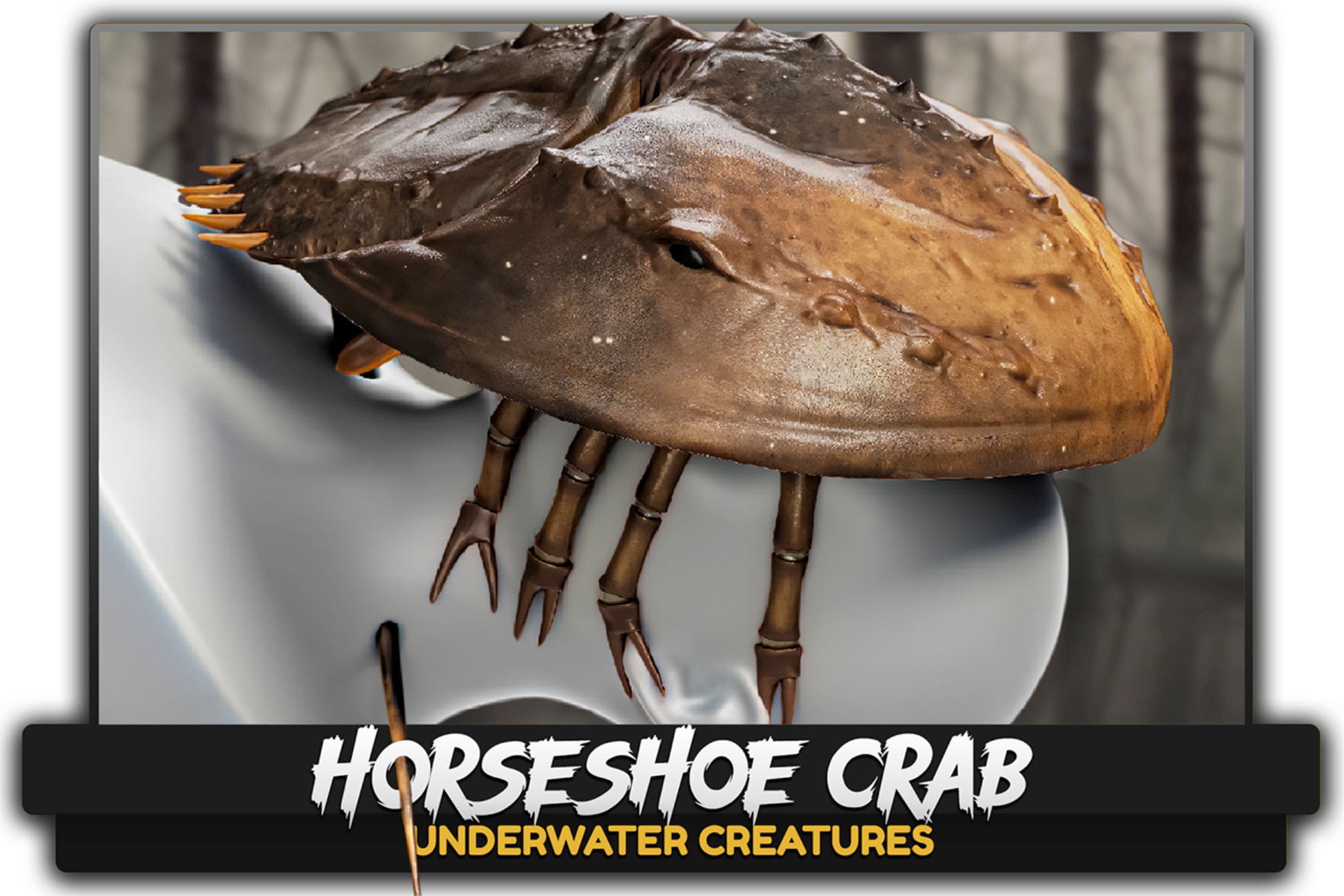 Horseshoe Crab - Trilobite - Rigged Animated Monster - Underwater ...