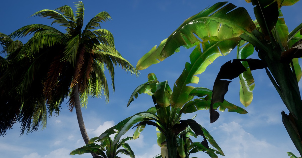 Jungle palms forest biome | 3D Environments | Unity Asset Store