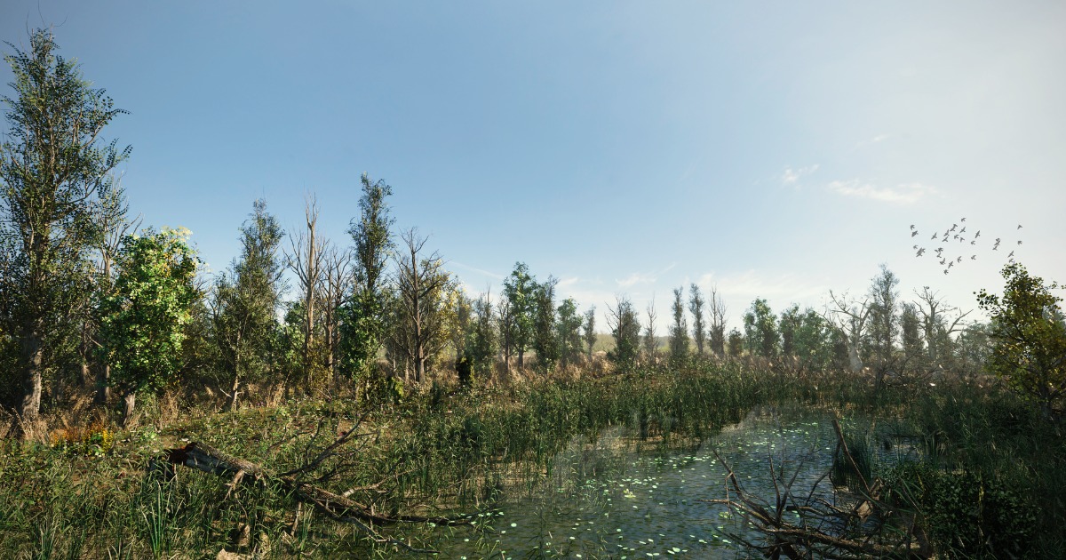 Background Nature Collection | 3D Vegetation | Unity Asset Store