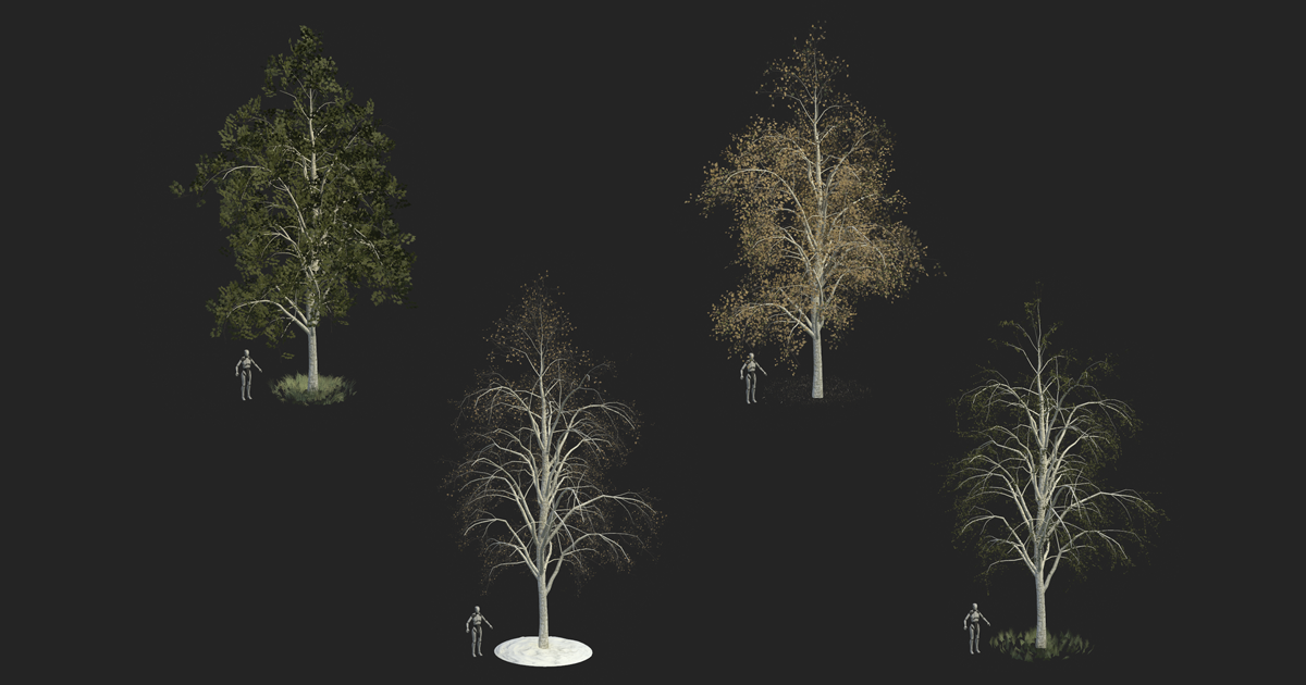Four Seasons Birch Tree Pack | 3D Trees | Unity Asset Store