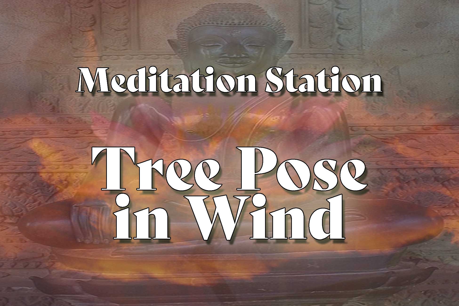 Meditation Station | Tree Pose in Wind | Audio Music | Unity Asset Store