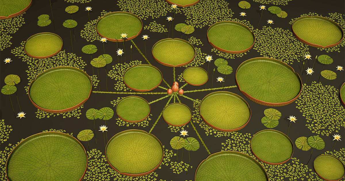 Water Plants and Flowers | 3D Plants | Unity Asset Store