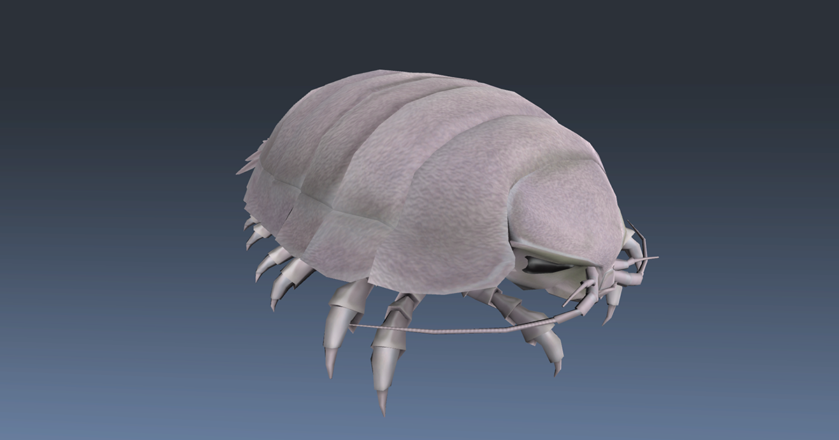 Giant Isopod | 3D Animals | Unity Asset Store