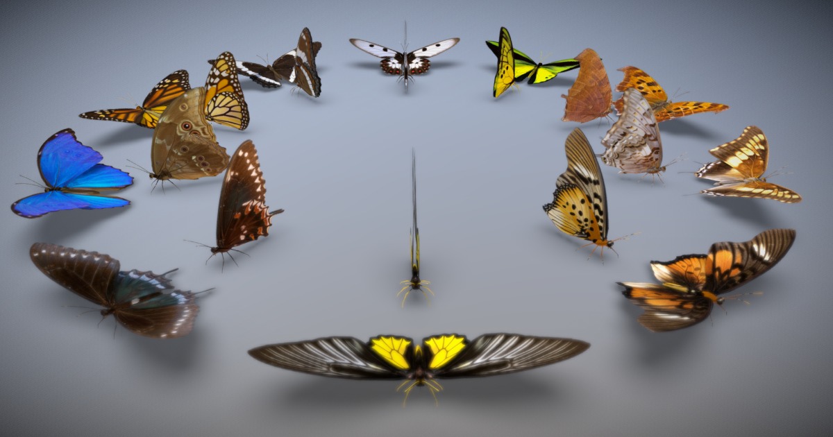 Animated Butterfly Pack (10 Wing Colors) | 角色 | Unity Asset Store