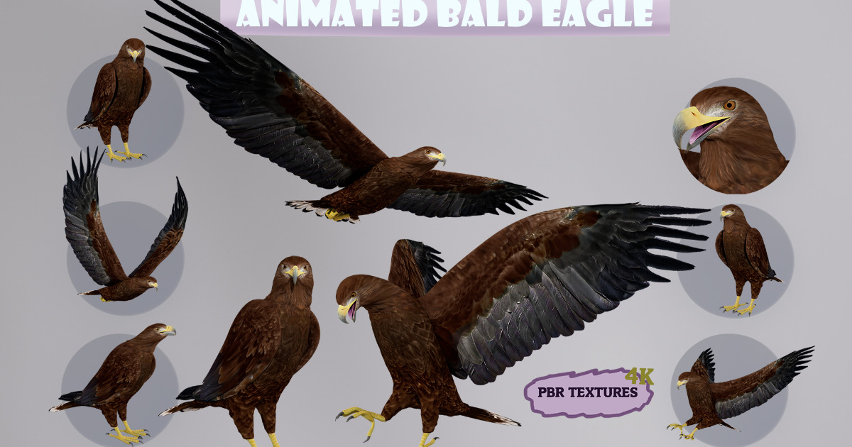 Realistic Animated Golden Eagle | 캐릭터 | Unity Asset Store