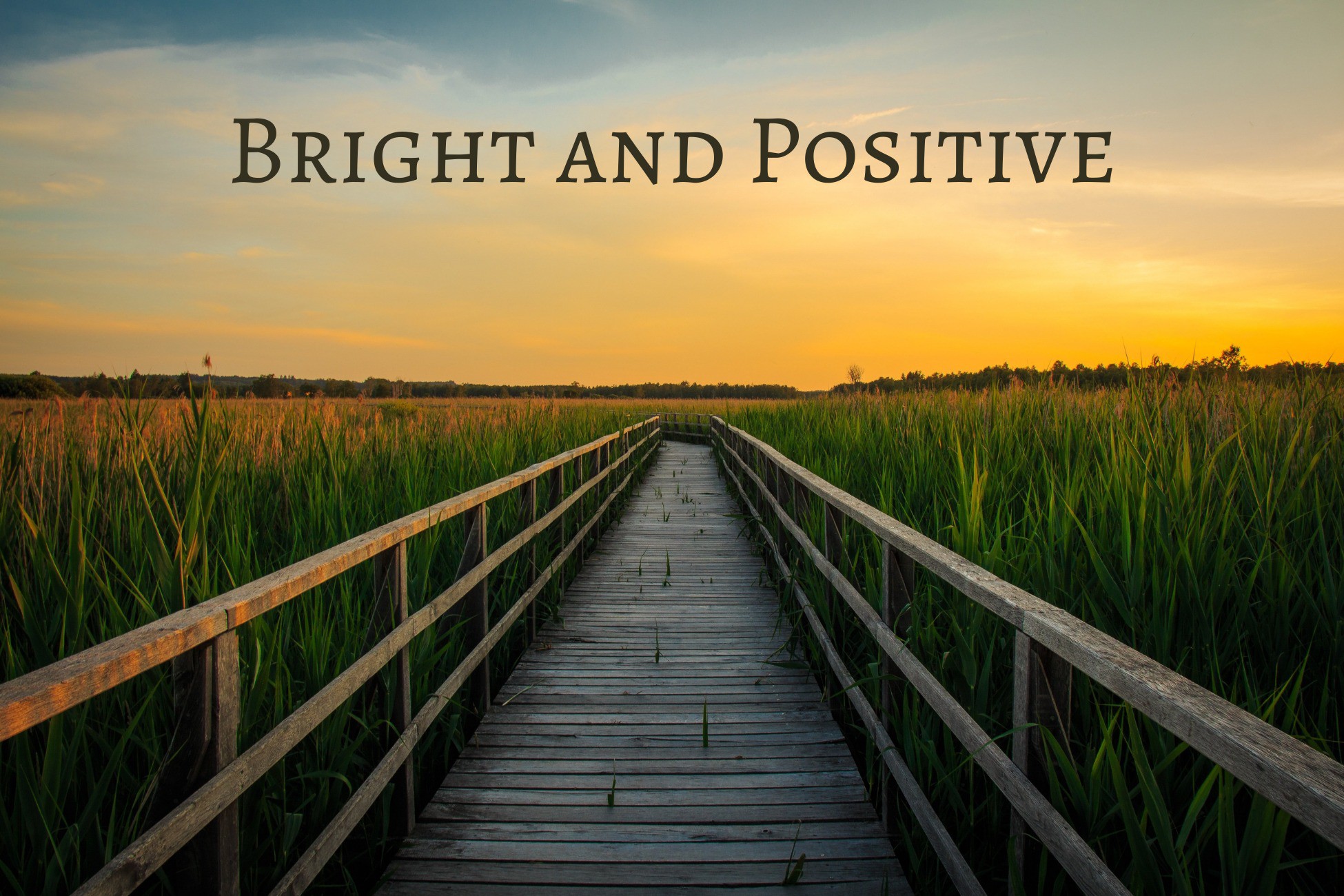 Bright and Positive | Pop Music | Unity Asset Store