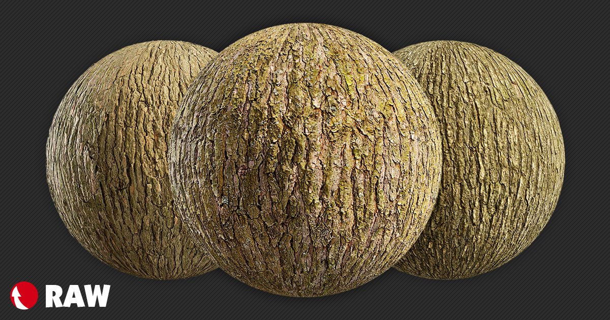 Pine Bark Textures Pack | 2D Wood | Unity Asset Store
