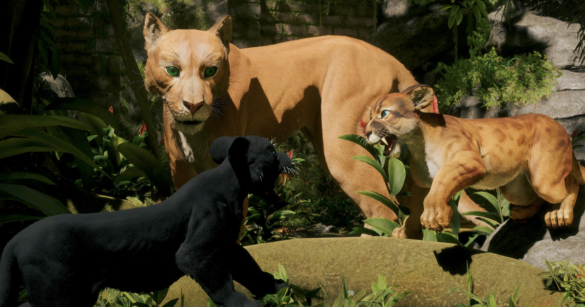 Realistic Cougar-Panther-Leopard-Jaguar | 3D Animals | Unity Asset Store