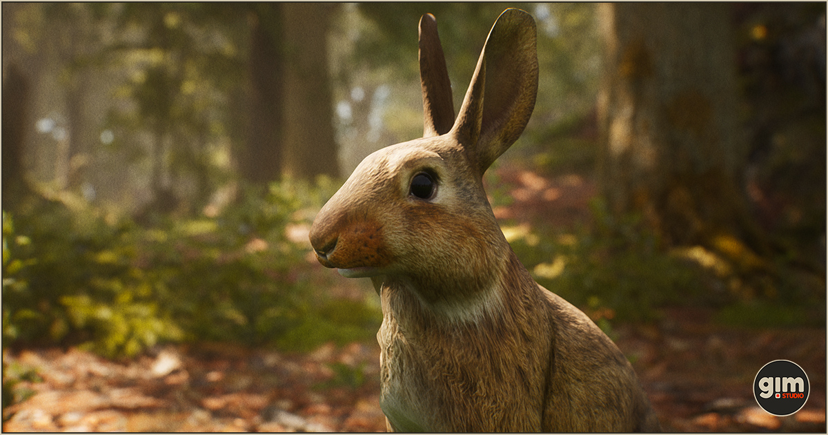 Animalia - European Rabbit | 3D Animals | Unity Asset Store