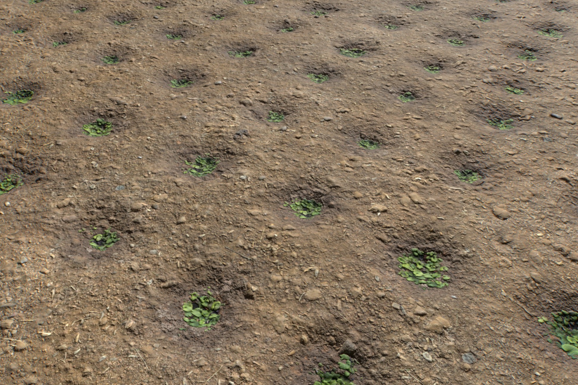 Farm Terrain Textures Pack 2 by 32cm