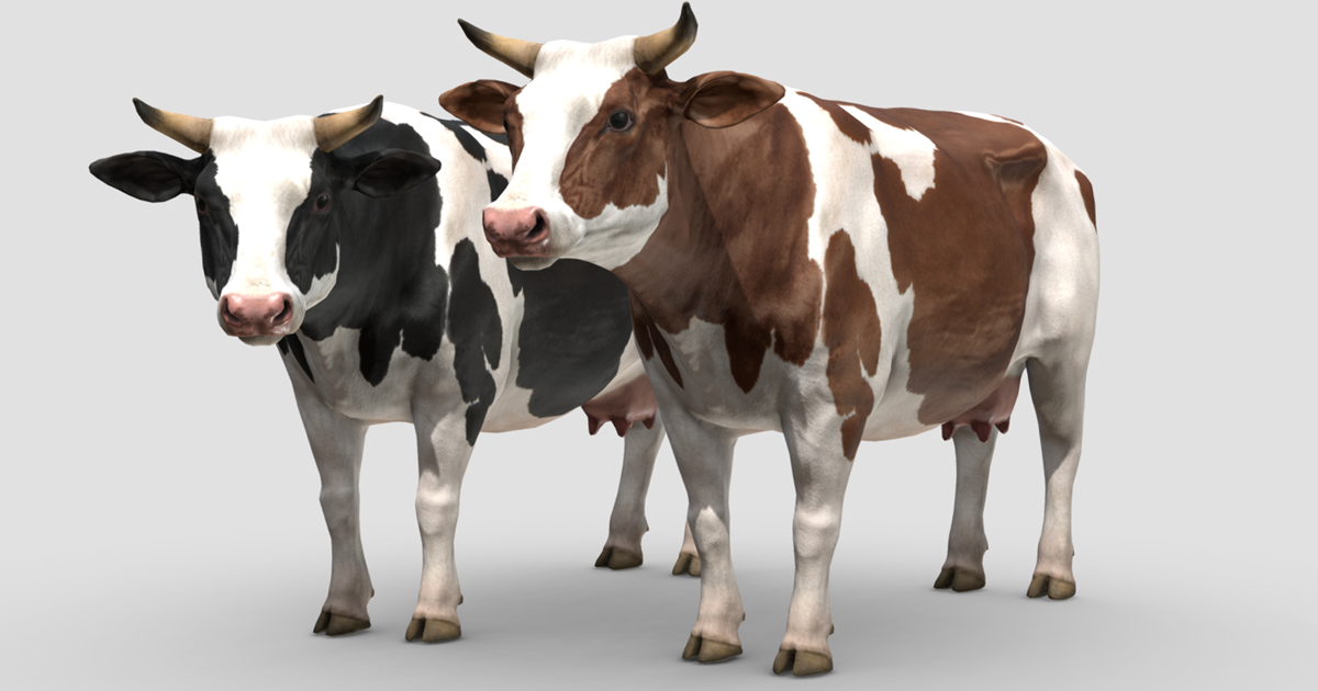 Cow realistic | Characters | Unity Asset Store