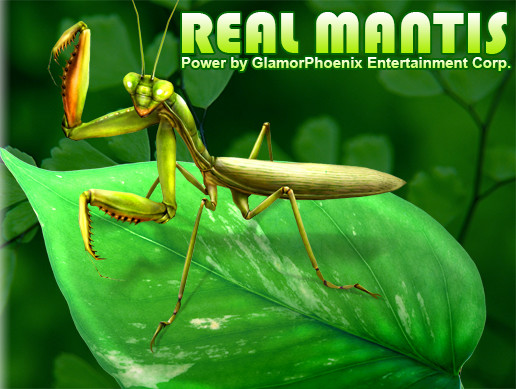 Real-Mantis | 3D | Unity Asset Store