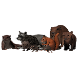 Pack of small animals