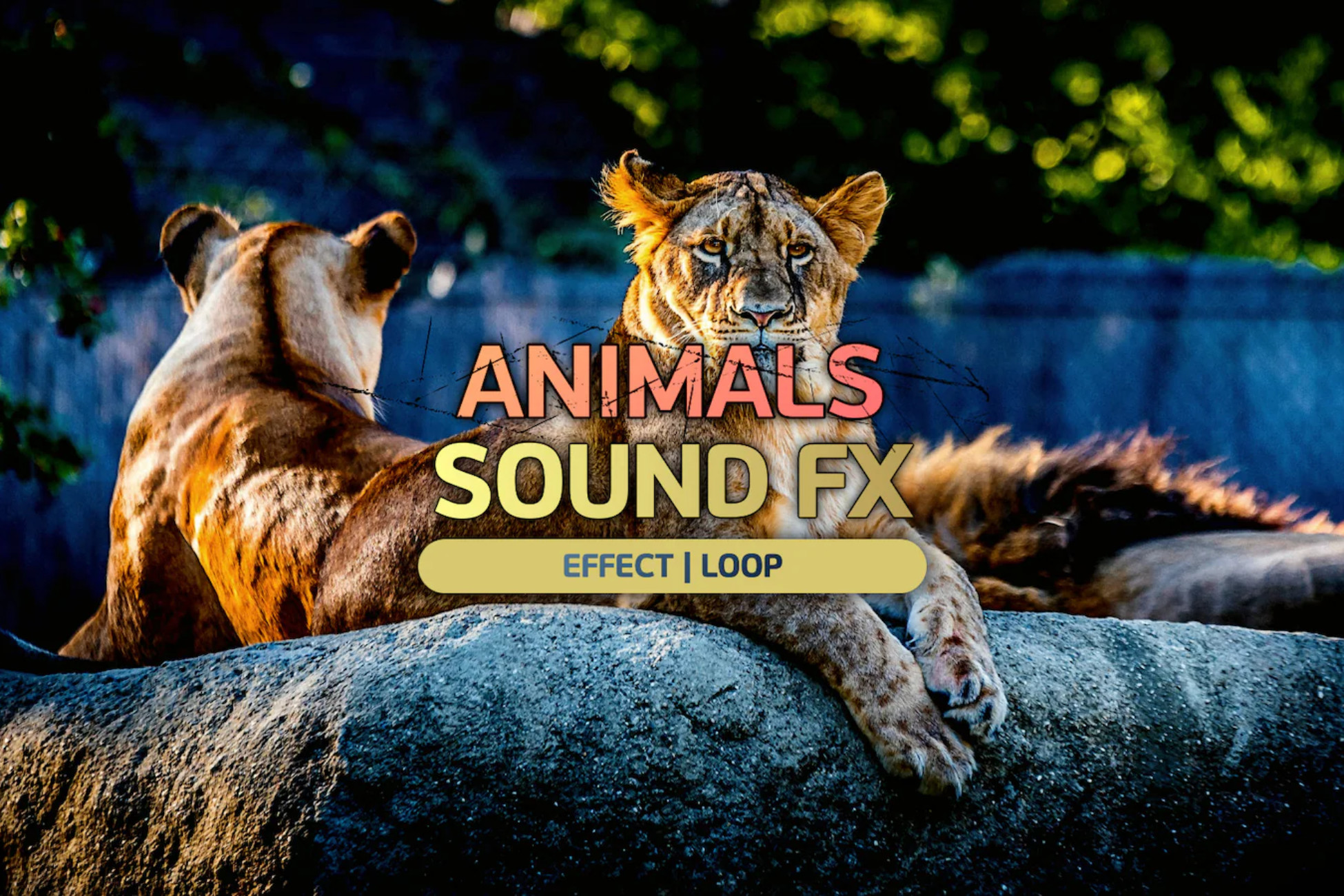 Sound Of Animals | Animals Sound FX | Unity Asset Store