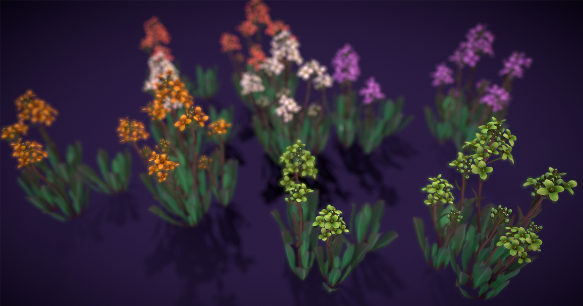Flower Daggerpod | 3D Flowers | Unity Asset Store