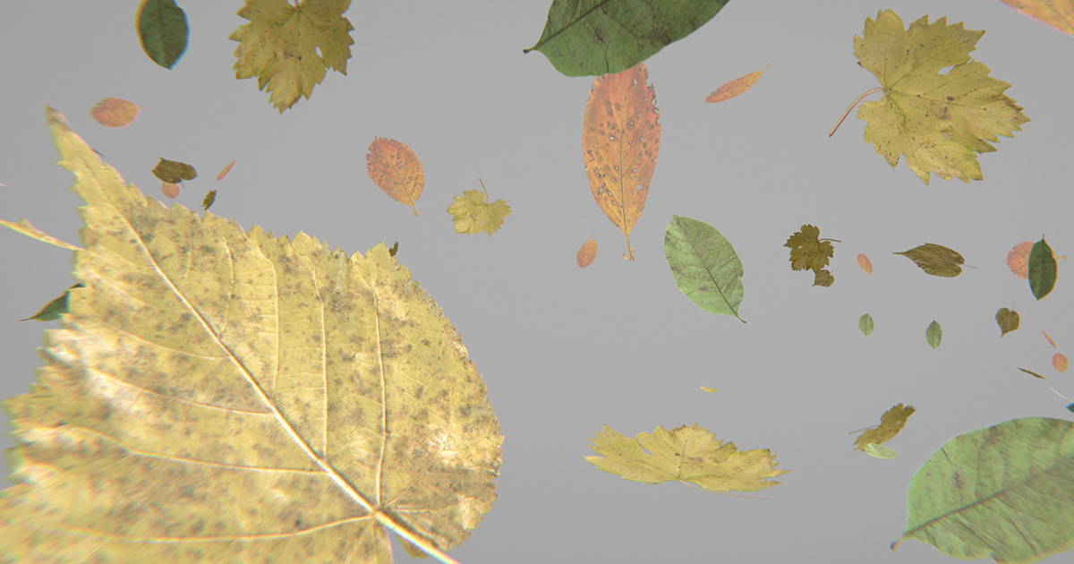 Blowing Leaves | 環境系 | Unity Asset Store