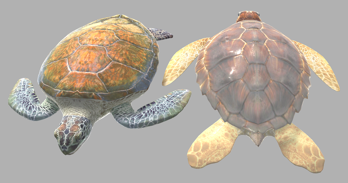 Sea turtles | Characters | Unity Asset Store