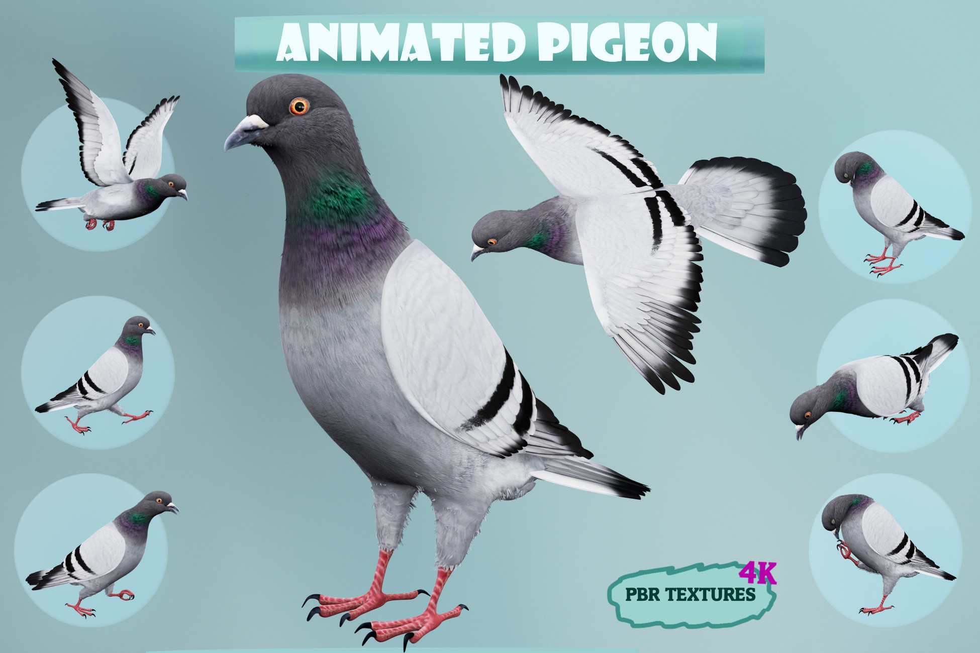 Realistic Animated Rock Pigeon Low-poly 3D model | Characters | Unity ...