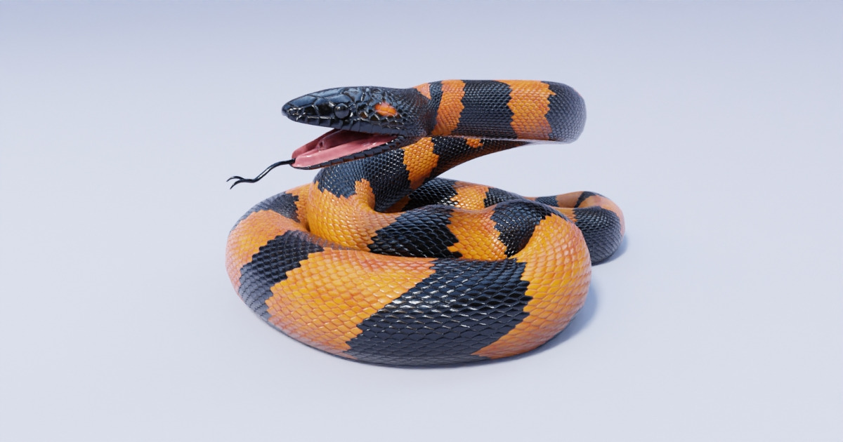 Bismarck Ringed Python | Characters | Unity Asset Store Bismarck Ringed Python | Characters | Unity Asset Store
