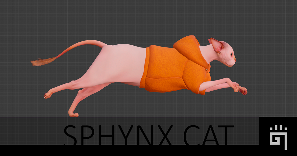 Sphynx Cat | 3D Animals | Unity Asset Store