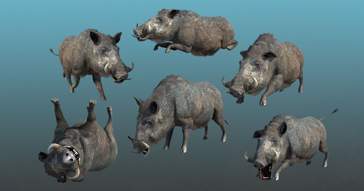 Forest Animal - Boar (Full) | 3D | Unity Asset Store