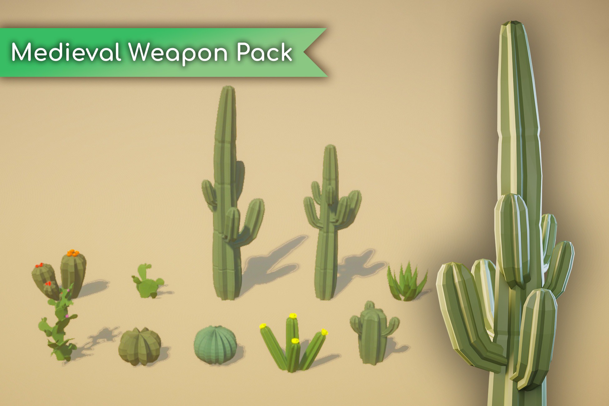 Lowpoly Cactus Pack | 3D Vegetation | Unity Asset Store