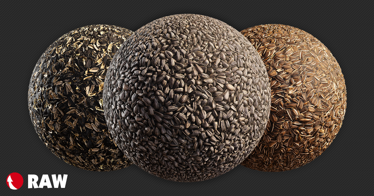Sunflower Seeds Textures Pack | 2D Food | Unity Asset Store