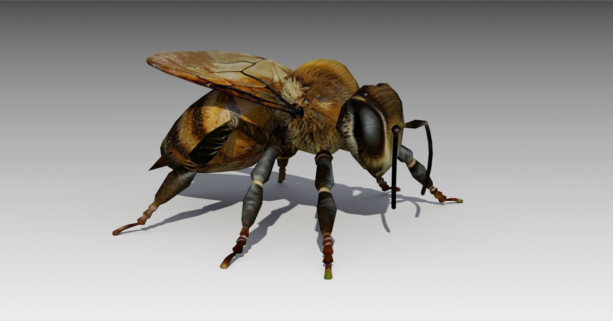 Honey Bee Animated | Characters | Unity Asset Store
