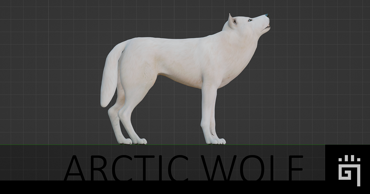 Arctic Wolf (AnimalDev) | Characters | Unity Asset Store