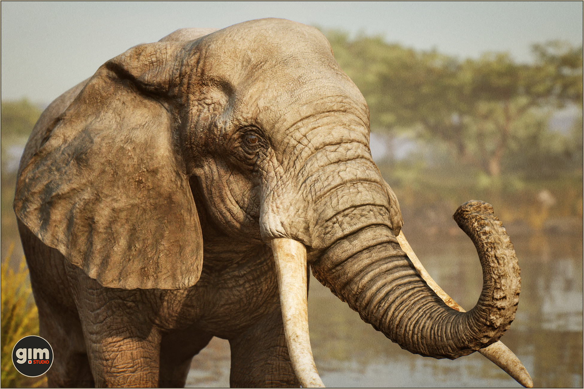 Animalia - African Elephant (male) | 3D Animals | Unity Asset Store