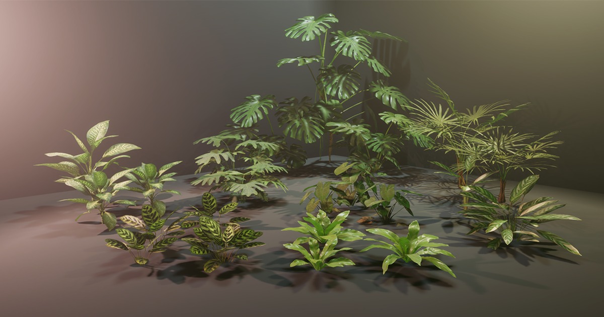 Tropical Plants Package | 3D Vegetation | Unity Asset Store