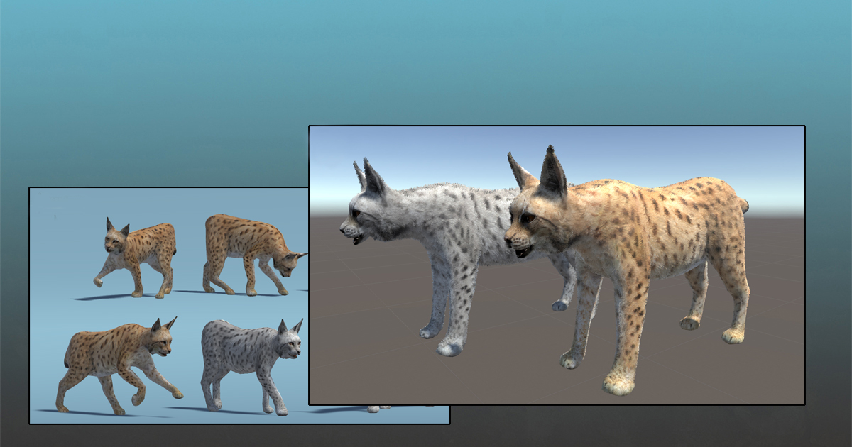 Forest Animal - Lynx (Full) | Characters | Unity Asset Store