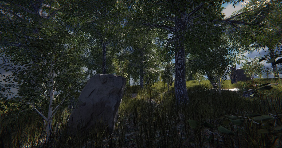 Scanned Birch Wood | 3D Vegetation | Unity Asset Store
