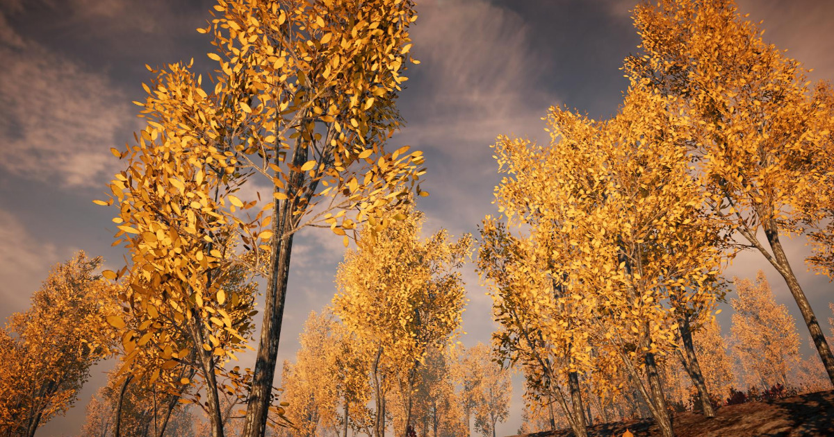 Mobile Tree Pack (1) | 3D Trees | Unity Asset Store