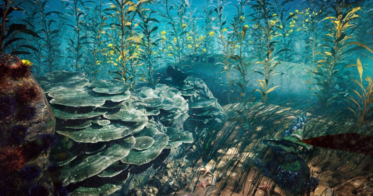 Nature Assets - Marine Biome | 3D Plants | Unity Asset Store