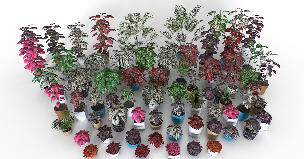 Interior plants pack | 3D Interior | Unity Asset Store