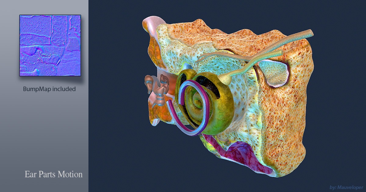 Ear Parts Motion | 3D Characters | Unity Asset Store