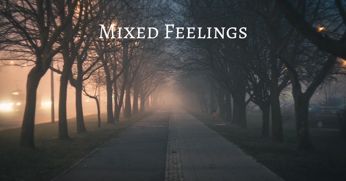 Mixed Feelings | Audio Ambient | Unity Asset Store