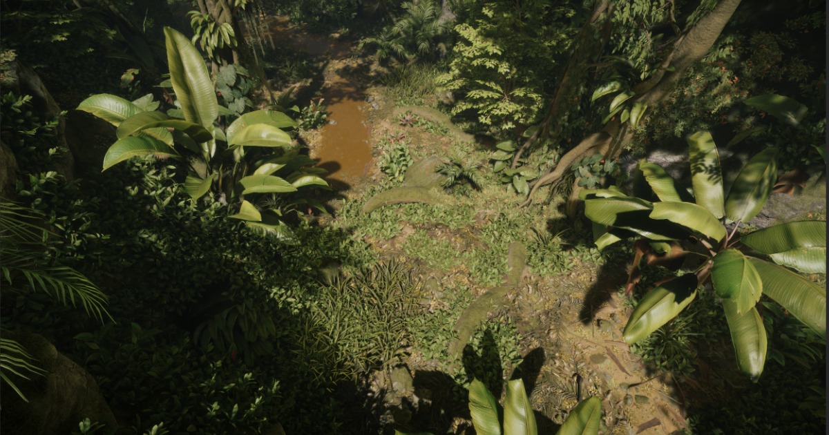 Jungle - Tropical Vegetation | 3D Environments | Unity Asset Store