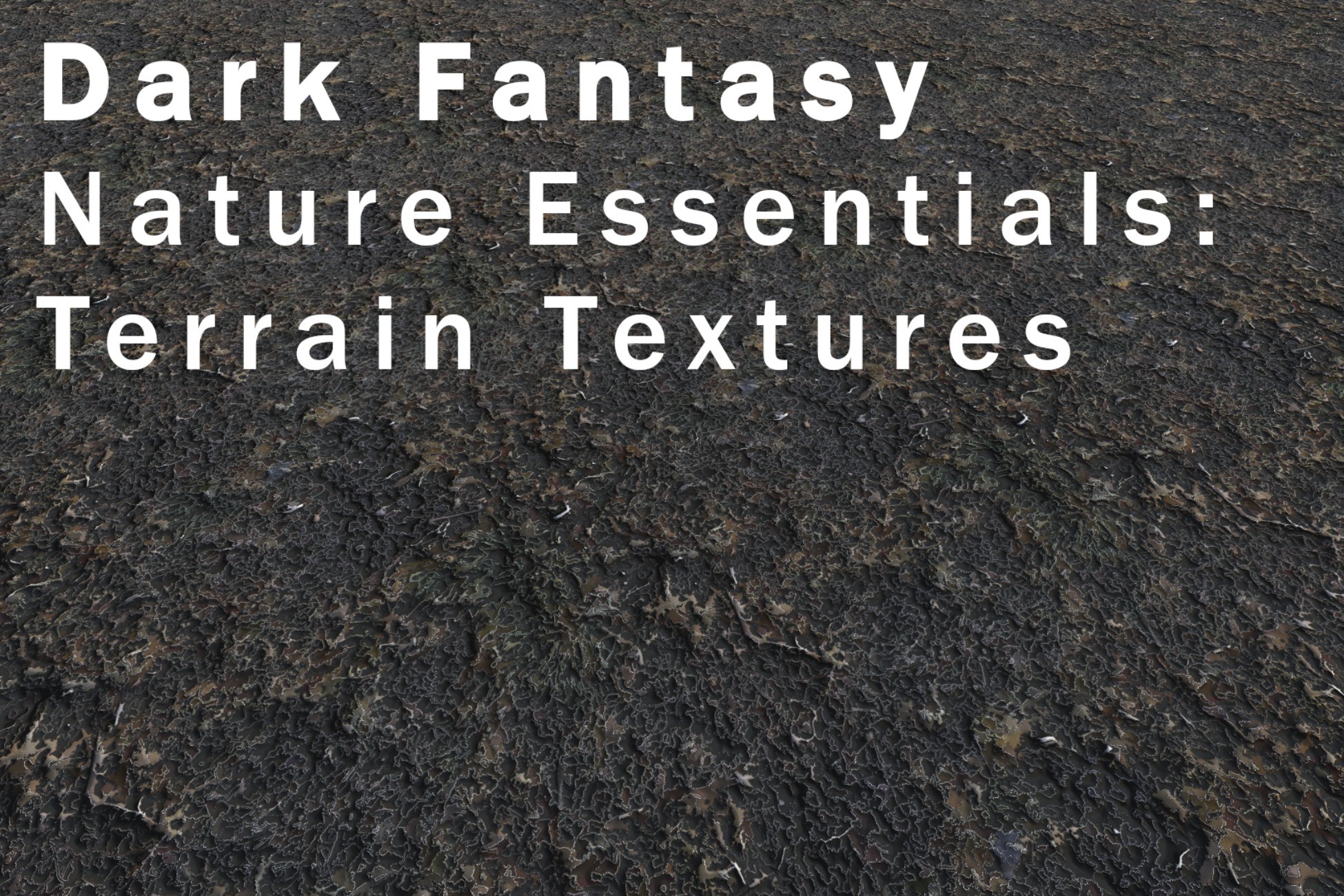 Dark Forest Ground Texture