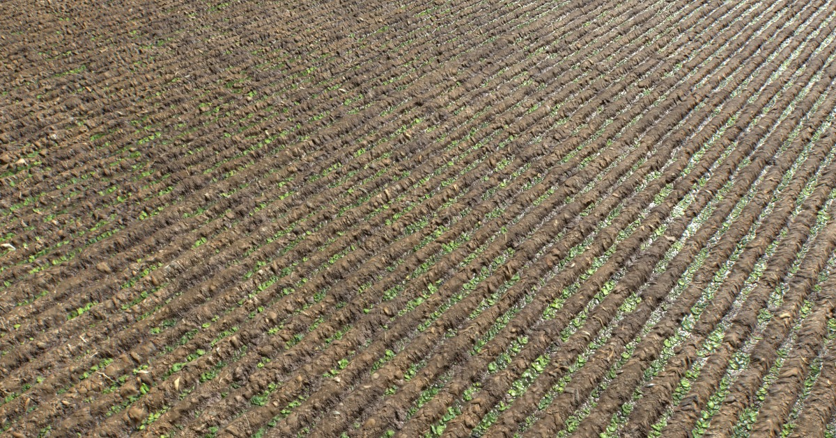 Farm Terrain Textures Pack 3 | 2D Textures & Materials | Unity Asset Store